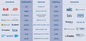 Vertical versus Horizontal Software