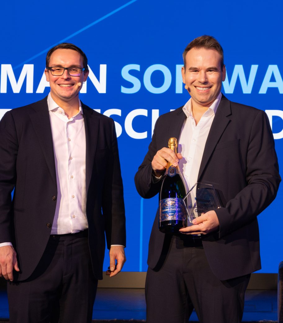 Stability in the German software market